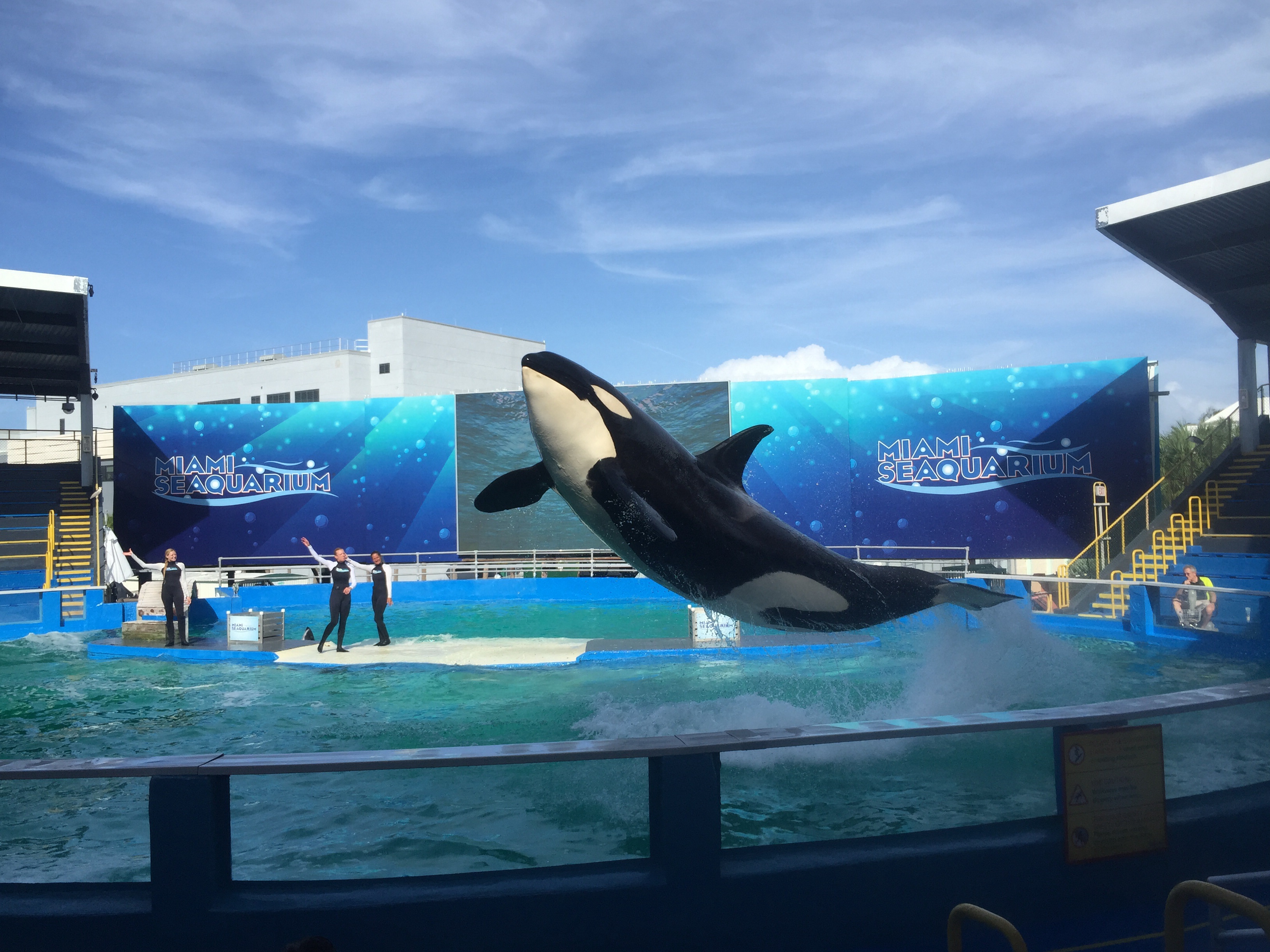 Miami Seaquarium by Millie – Sailing Trismic